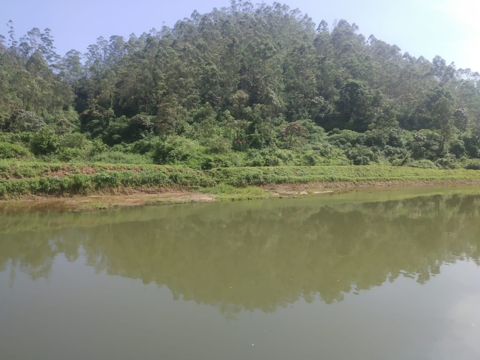A Wonderful trip to Munnar on 10th November , 2022, Thursday – Gijo ...