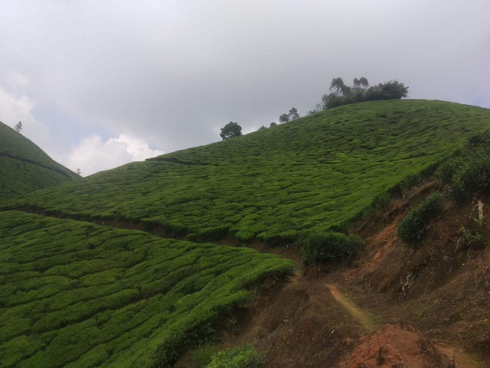 A Wonderful trip to Munnar on 10th November , 2022, Thursday – Gijo ...